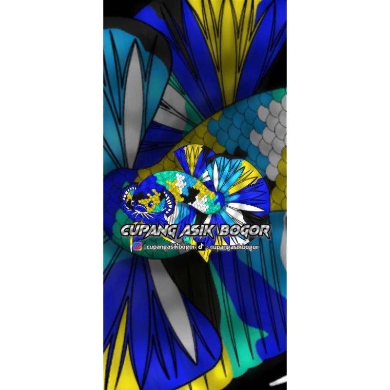 Jual Stiker Ikan Cupang | Shopee Indonesia