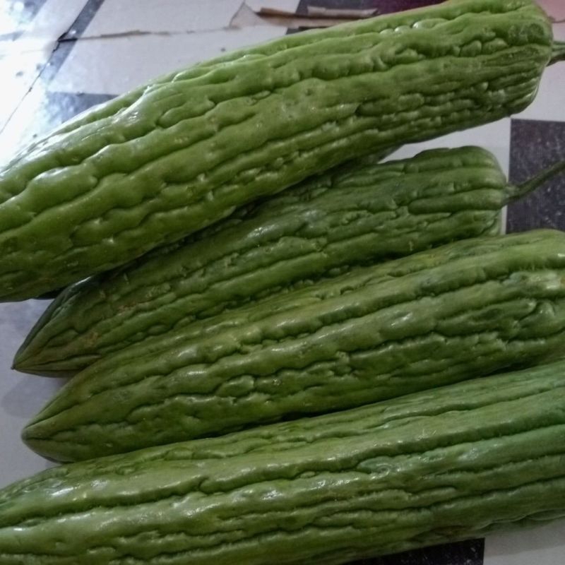 Jual Pare Sayur Pilihan Fresh 1KG | Shopee Indonesia