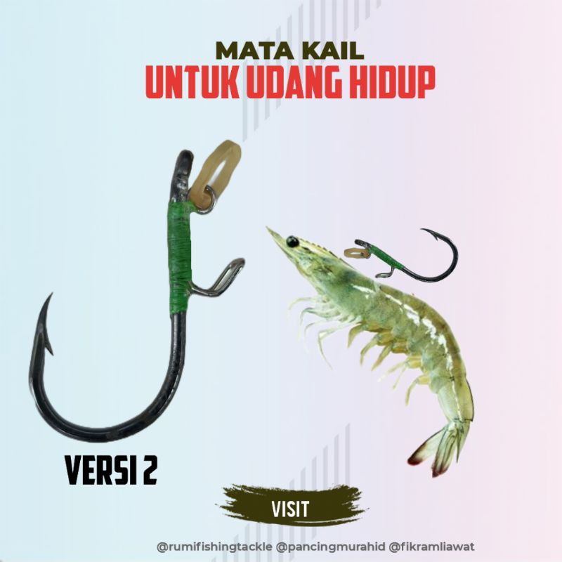 Jual Mata kail udang hidup versi 2 kuat anti karat cocok untuk mancing ikan kakap kerapu dan ...