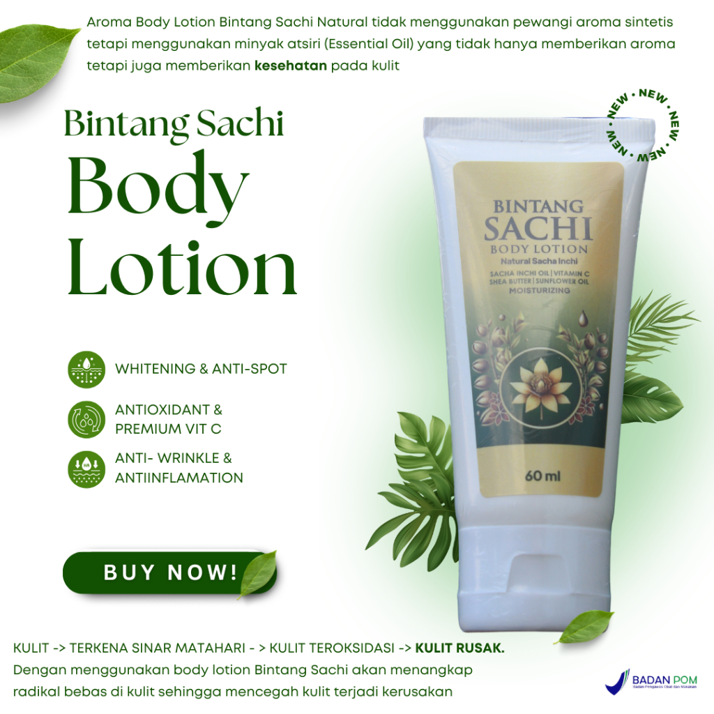 Jual Body Lotion Bintang Sachi Natural Pertama di Indonesia Membuat ...