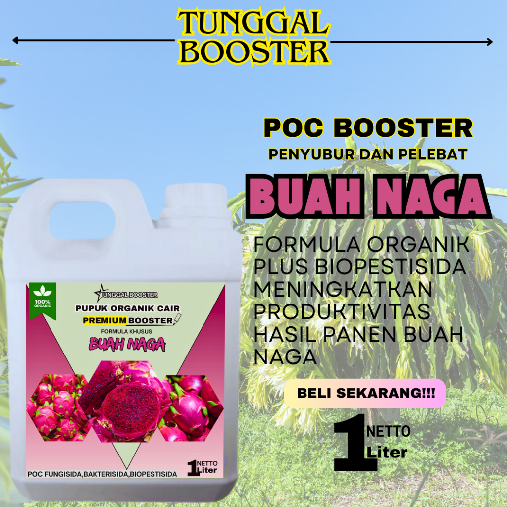 Jual Pupuk Organik Cair Tanaman Buah Naga Booster Pelebat dan Perangsang Buah Naga Premium ...