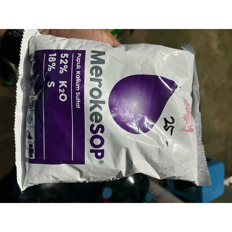 Jual Meroke SOP 1kg | Shopee Indonesia