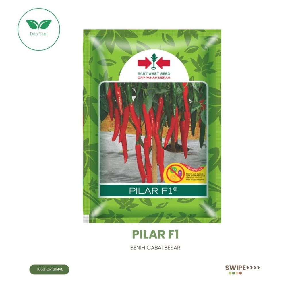 Jual Benih Cabai Besar Pilar F1 Cap Panah Merah 1500 S | Shopee Indonesia