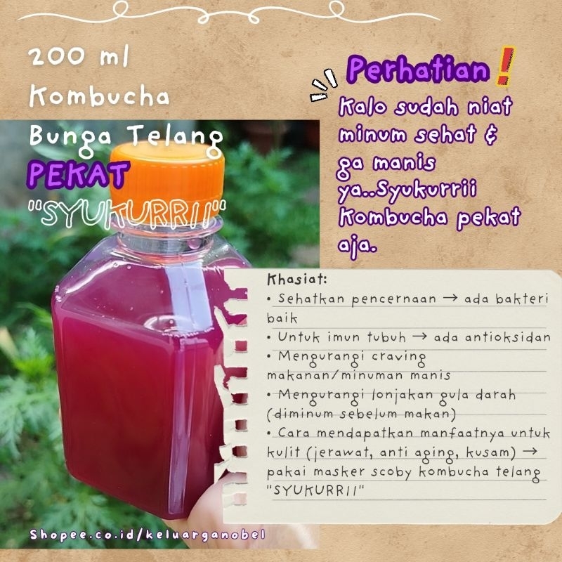 Jual Kombucha Bunga Telang Pekat (Teh Telang Tidak Encer, Memaksimumkan ...