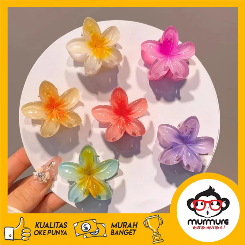 Jual MURMURE I 4CM JEPIT RAMBUT PLUMERIA BUNGA KAMBOJA MINI 4CM JEDAI ...