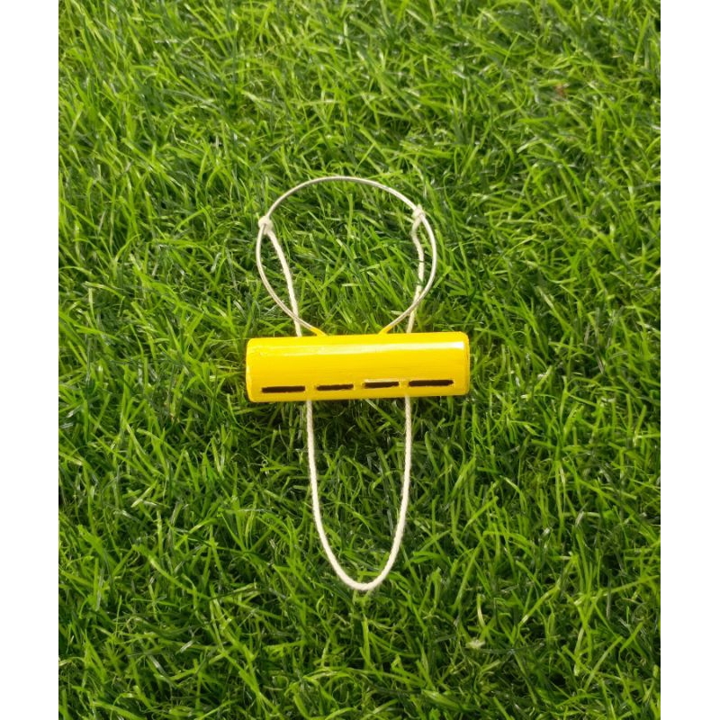 Jual SAWANGAN MERPATI LUBANG 4 HOTANG PLUIT SULINGAN KUNING | Shopee ...