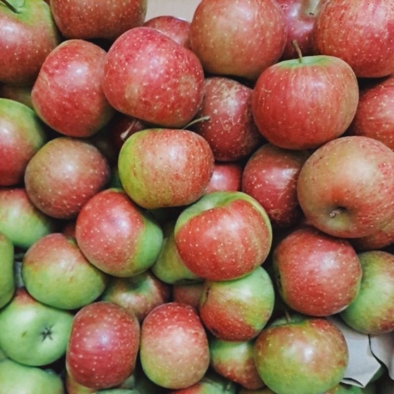 Jual Buah Apel Rome Beauty/RB/Apel malang/Oleh oleh khas(1KG) | Shopee ...