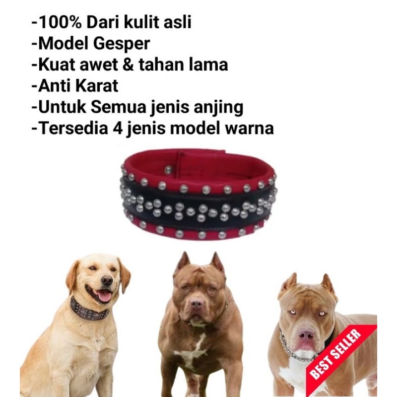 Jual Kalung Anjing Dari Kulit Asli Kuat Bisa Dipakai Semua Jenis Anjing ...