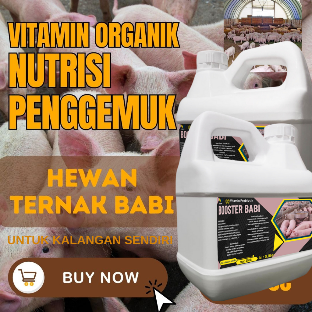 Jual Vitamin ternak babi / Vitamin untuk pertumbuhan babi / Nutrisi ...