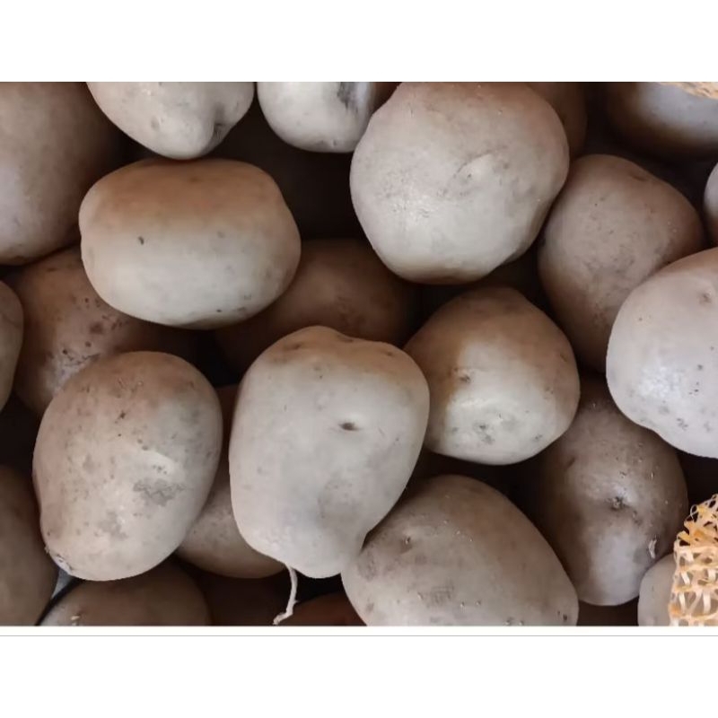 Jual kentang Dieng super 1 kg | Shopee Indonesia