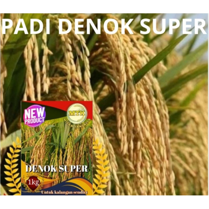 Jual Benih padi Denok super jumbo kemasan 1kg | Shopee Indonesia