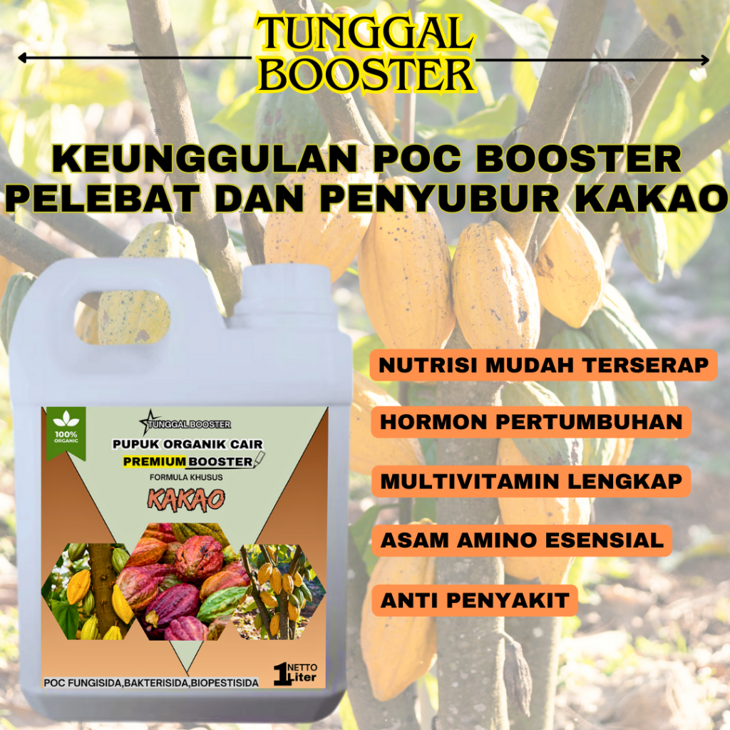 Jual Pupuk Organik Cair Tanaman Kakao Booster Pelebat dan Perangsang Tanaman Kakao Premium ...