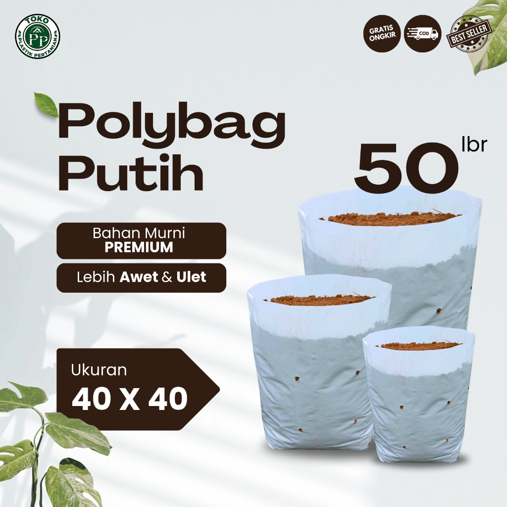 Jual Polybag Putih 40 x 40 Isi 50 Lembar - Polybag Putih / Putih-Hitam ...