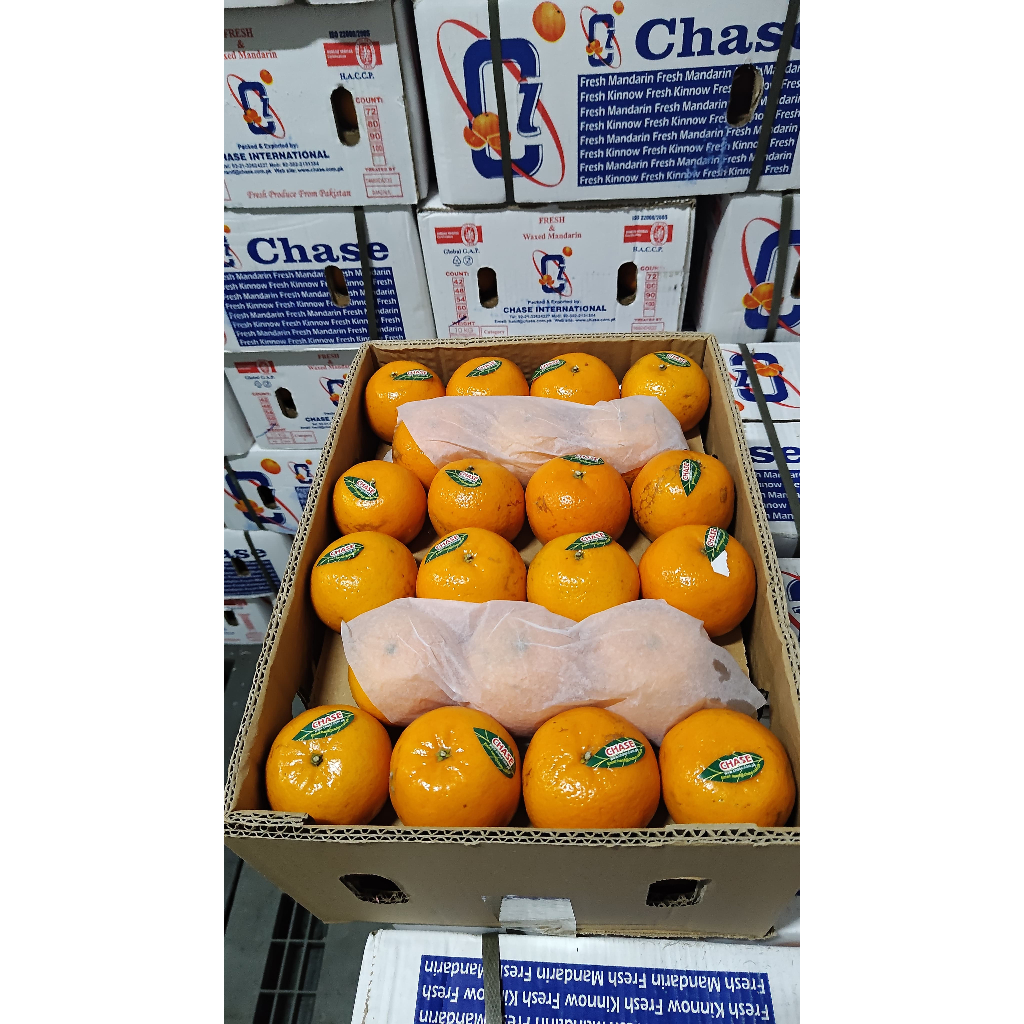 Jual Jeruk Kino Chase 72 & 66 / 9KG (KHUSUS INSTANT) | Shopee Indonesia