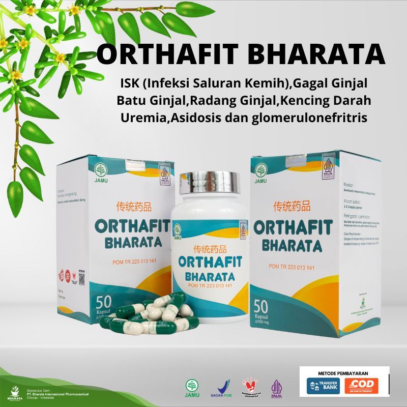 Jual Orthafit Bharata - Obat Herbal Untuk ISK, Gagal ginjal, Nefritis ...