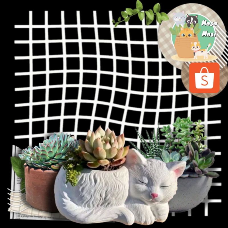 Jual Kucing lucu Tapi ini Pot Karakter Kucing Limited Edition Glow in ...