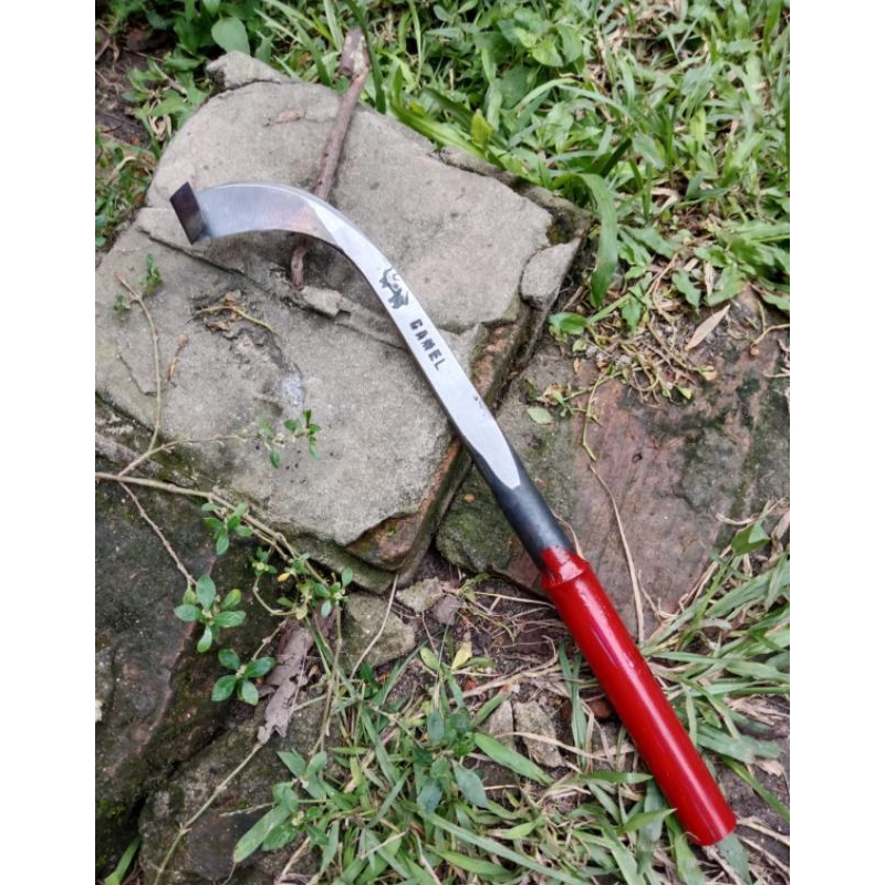 Jual pisau sadap karet panjang 30cm | Shopee Indonesia