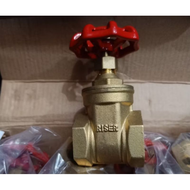 Jual Riser gate Valve 2 inch / Gate Valve Riser 2 inch baru | Shopee ...