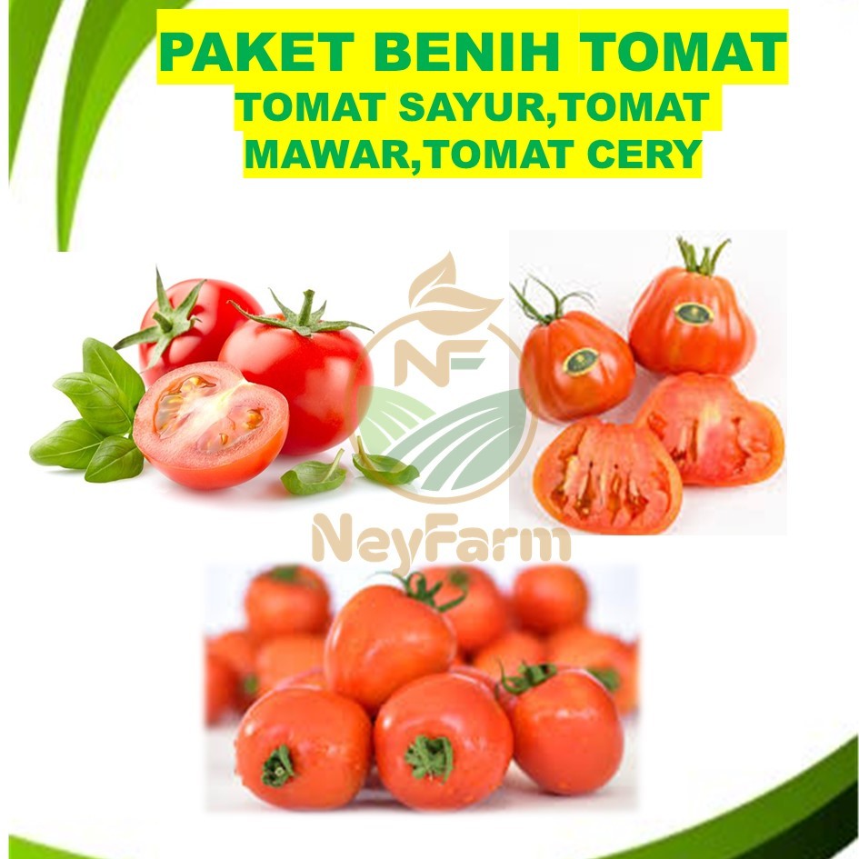 Jual Paket Benih Tomat-Tomatan Benih Tomat sayur keriting cery | Shopee ...