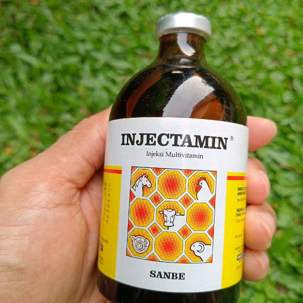 Jual INJECTAMIN 100ml Multivitamin dan suplemen kesehatan ternak sapi ...