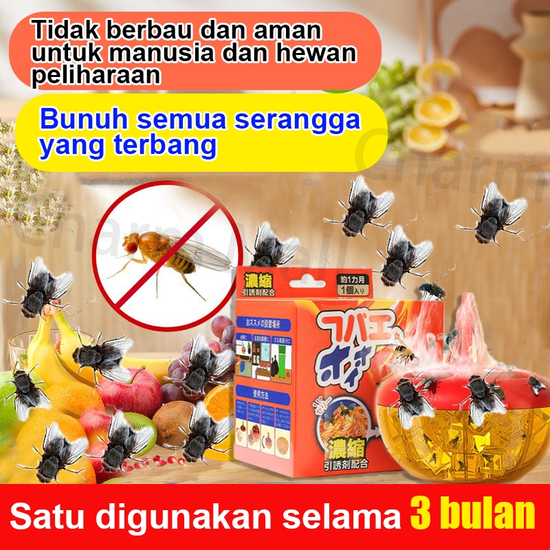 Jual perangkap lalat buah pengusir lalat obat lalat buah pembasmi lalat ...