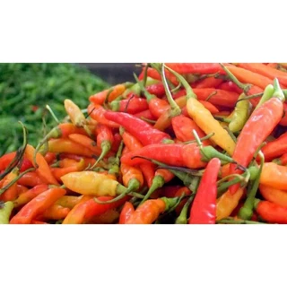 Jual Cabe Rawit 1 Kg Terlengkap & Harga Terbaru Oktober 2025 | Shopee ...
