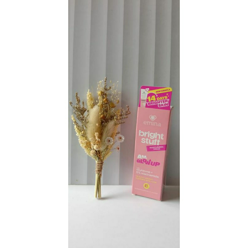 Jual Emina Moisturizer Bright Stuff Terlengkap & Harga Terbaru Juni ...