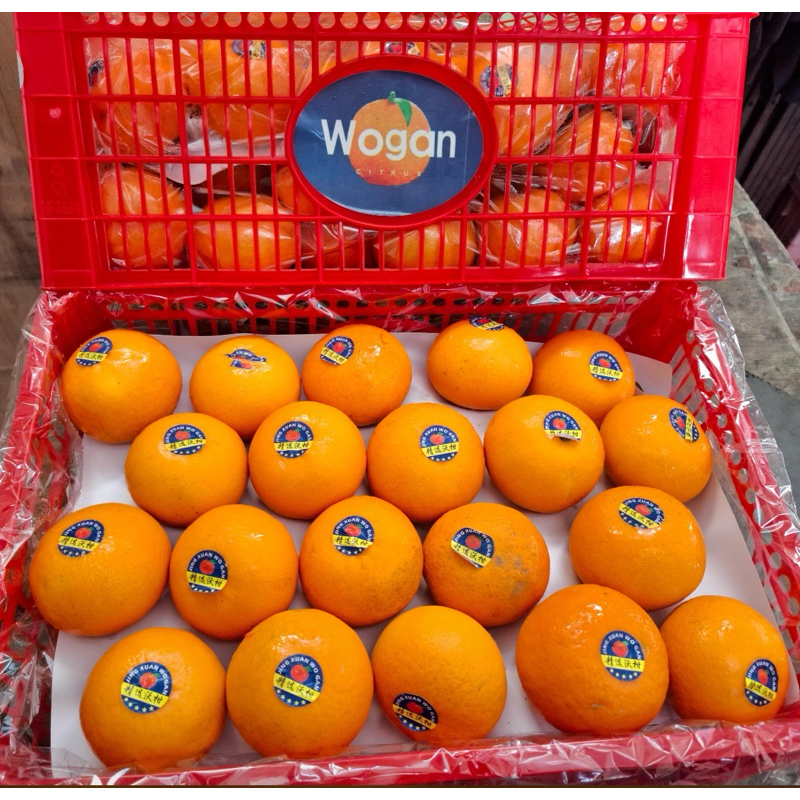 Jual JERUK WOGAN KRAT 6 KG MANIS | Shopee Indonesia
