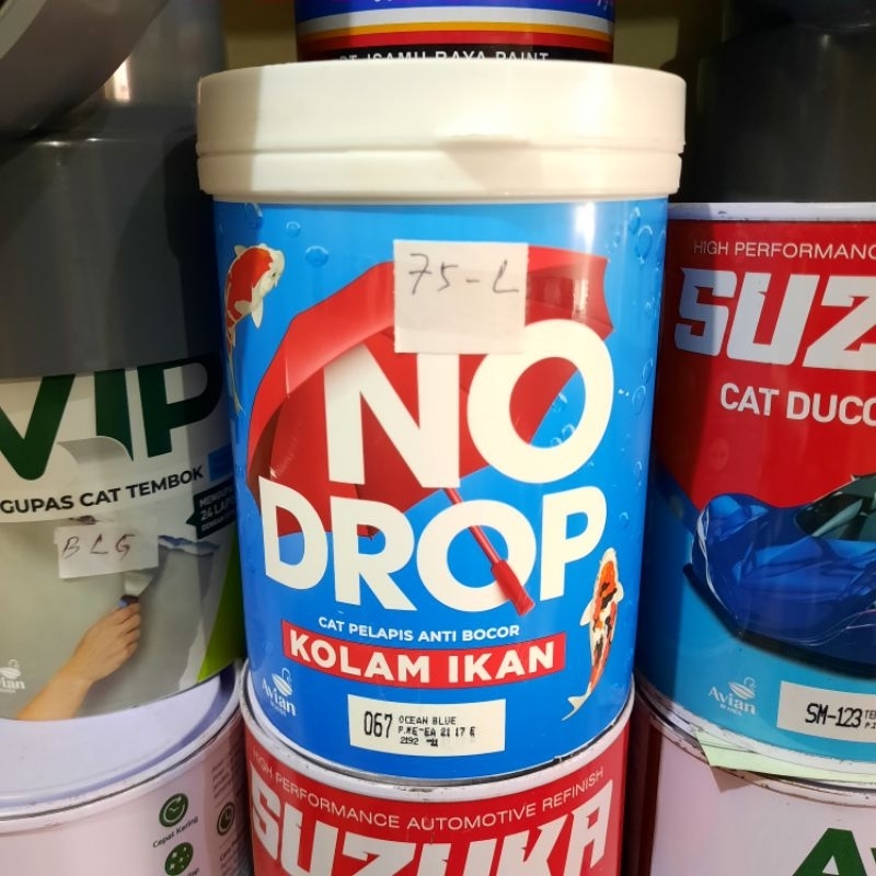 Jual Cat Kolam Ikan 1 kg merk No Drop / Cat Pelapis Anti Bocor khusus Kolam | Shopee Indonesia