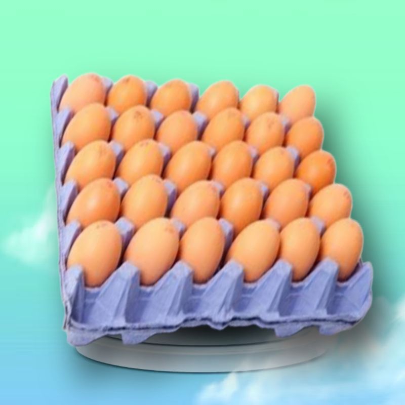 Jual 1 RAK TELUR AYAM RAS ( PENGIRIMAN INSTAN ) | Shopee Indonesia