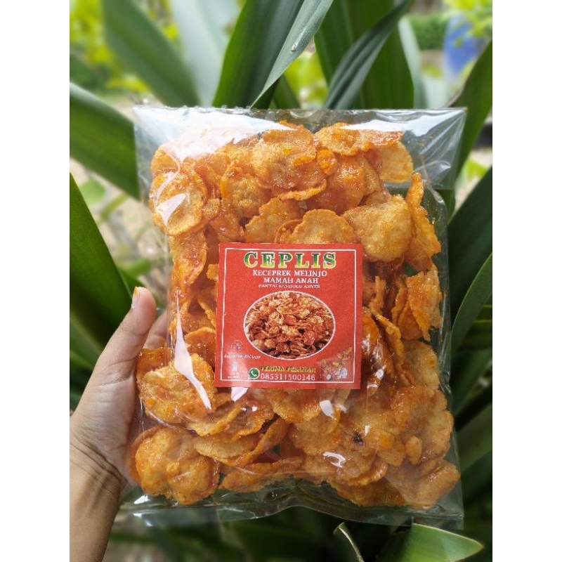 Jual Ceplis Balado Pantai Anyer | Shopee Indonesia