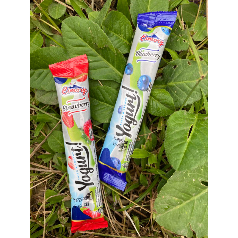 Jual Yoghurt stick beli 10 GRATIS 1 sample | Shopee Indonesia
