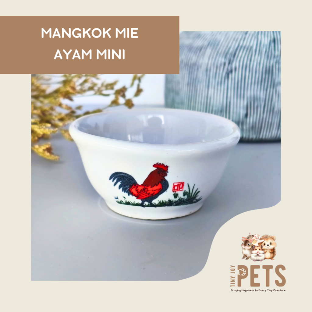 Jual Mangkok Mie Ayam Mini - Food Bowl Hewan Kecil Hamster Sugarglider ...