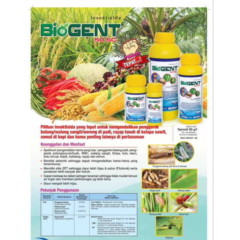 Jual Insektisida Biogen plus ZPT untuk hama Penggerek Batang/Walang ...