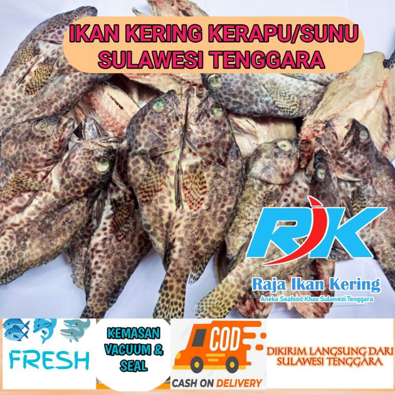 Jual Ikan Kering Kerapu Sunu 1 kg Terbaik & Termurah Khas Sulawesi ...