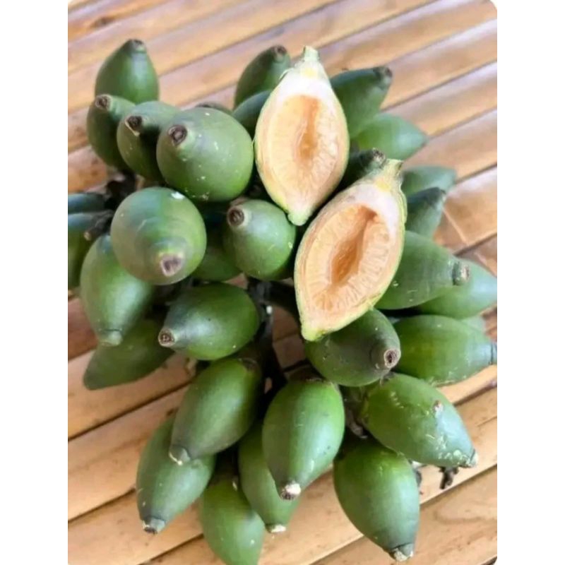Jual pinang muda jus jambe muda pres 1kg bergaransi | Shopee Indonesia