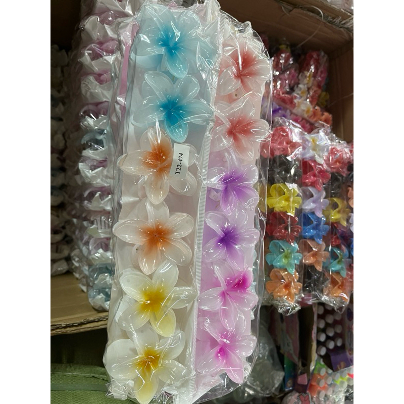 Jual JEPITAN BUNGA KAMBOJA PERPACK ISI 12 JEDAI KAMBOJA 8CM | Shopee ...