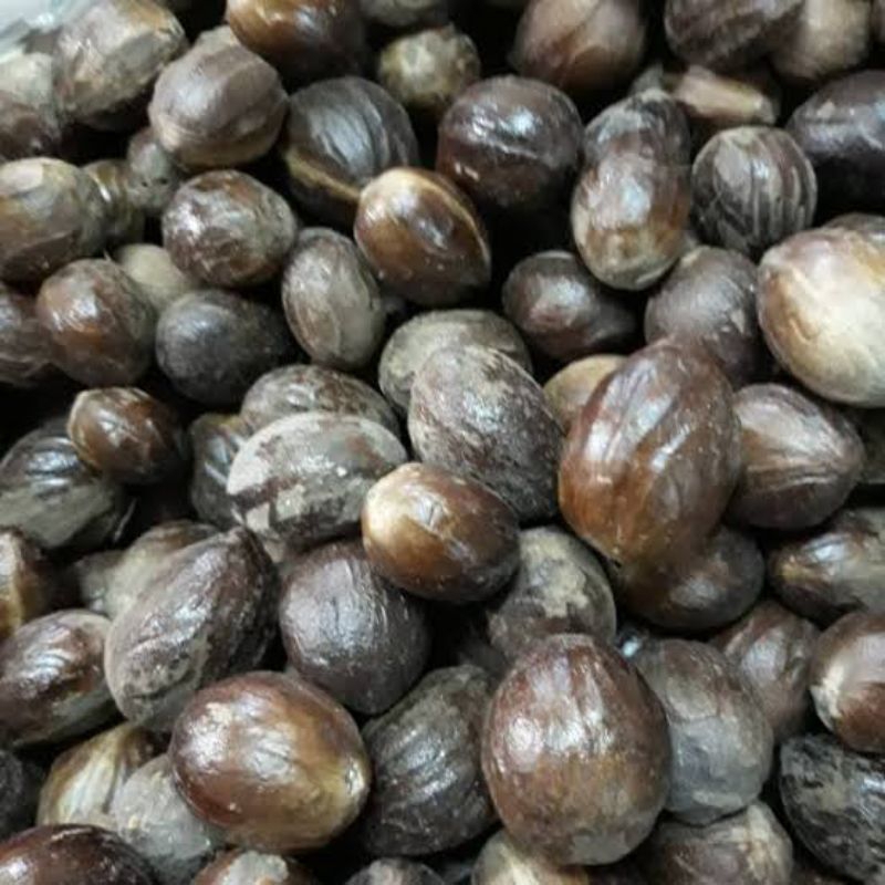 Jual Buah Pala Kering, Biji Pala Kering 100gr | Shopee Indonesia