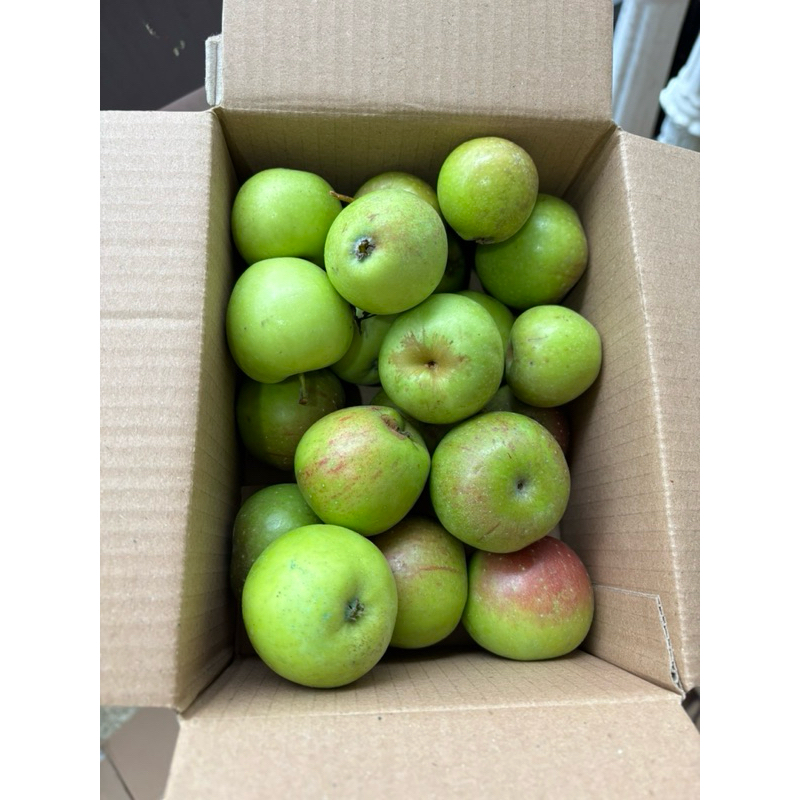 Jual Buah Apel mix manalagi mini & rome beuty mini 1kg | Shopee Indonesia