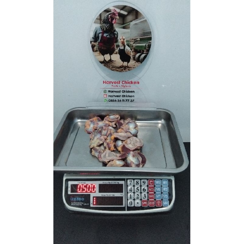 Jual Ampela ayam paren / ayam merah ( frozen ) | Shopee Indonesia