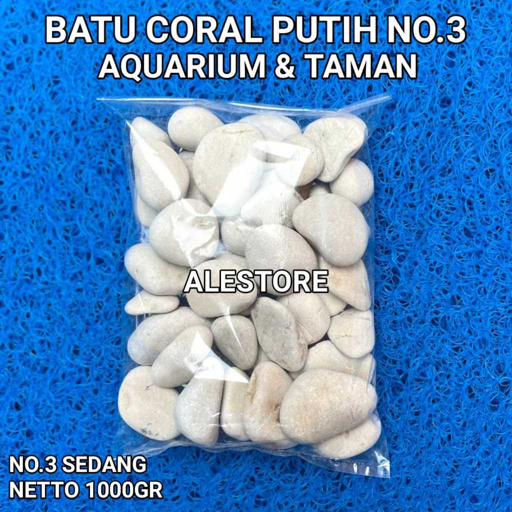 Jual Batu Koral Kupang putih Coral Hias batu taman dan aquarium 1kg ...