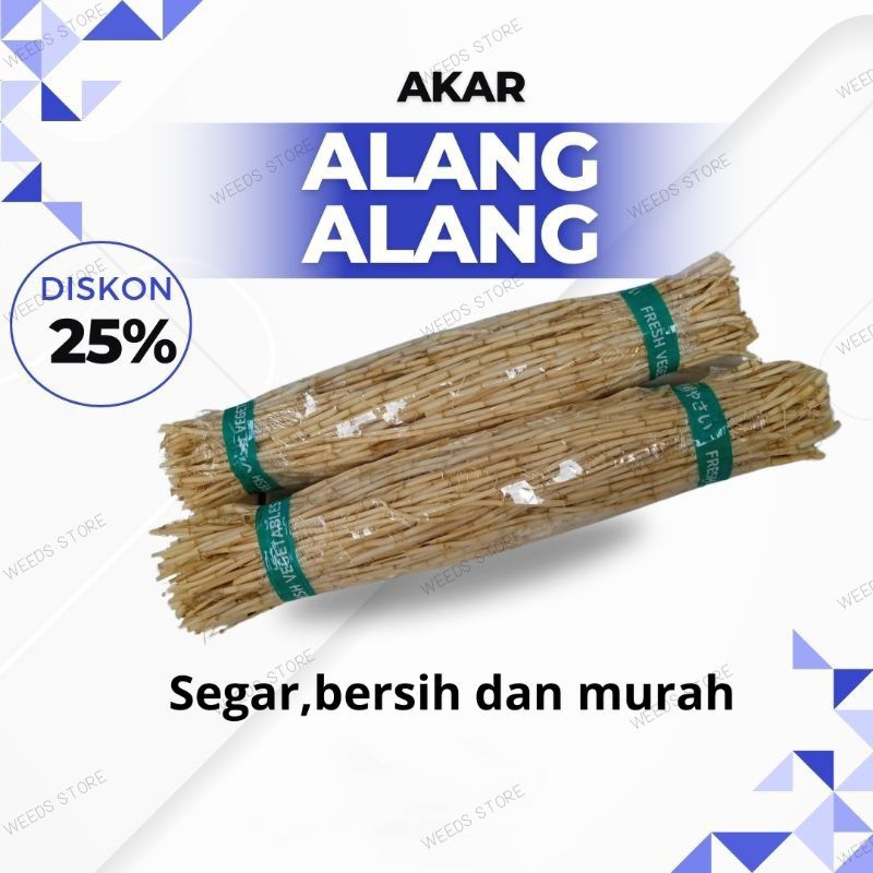 Jual Akar Alang Alang 1 KG Fresh | Shopee Indonesia