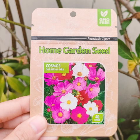 Jual HGS - Benih Bunga Cosmos Sensation Mix isi 40 biji | Shopee Indonesia