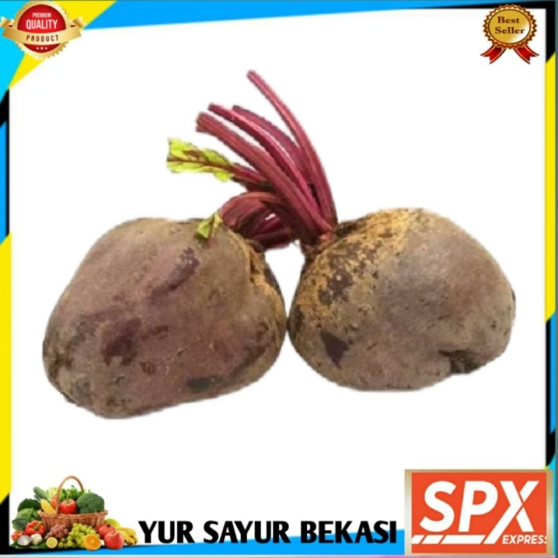 Jual Buah Bit 500gr. | Shopee Indonesia