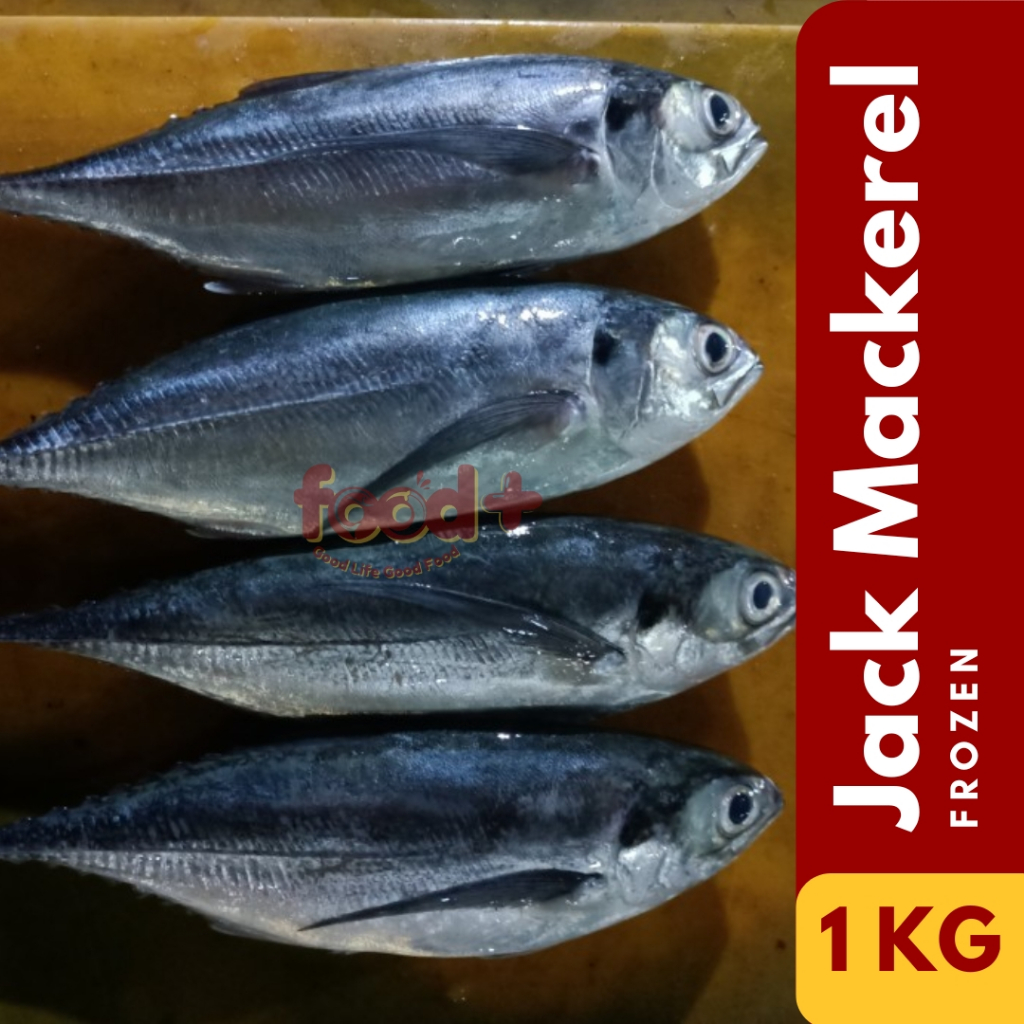 Jual Ikan Jack Mackerel / Tetengkek [1 KG] | Shopee Indonesia