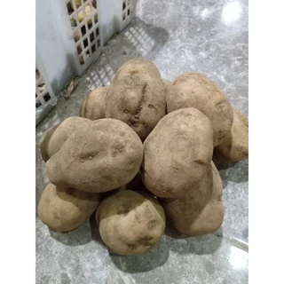 Jual Kentang 1 Kg Terlengkap & Harga Terbaru Maret 2026 | Shopee Indonesia