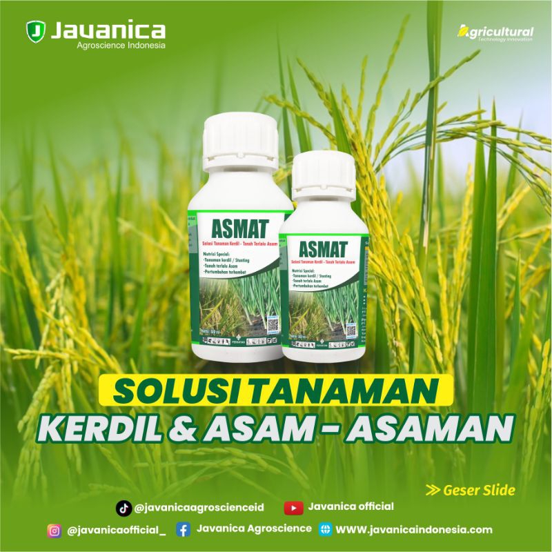 Jual JAVANICA / ASMAT ( 500 ML ) | Shopee Indonesia