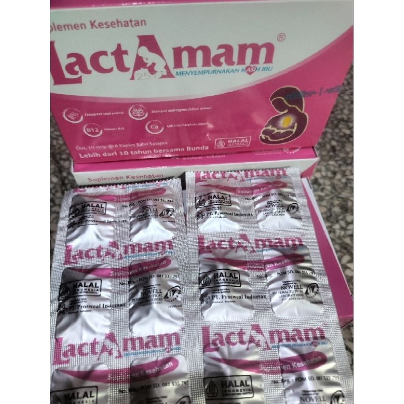 Jual LACTAMAM PELANCAR ASI 1 BOX | Shopee Indonesia