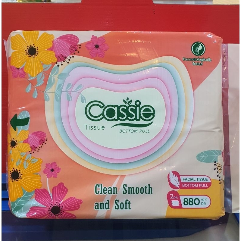 Jual Cassie Tissue Bottom Pull Facial Tissue 2ply up to 880ply | Shopee ...