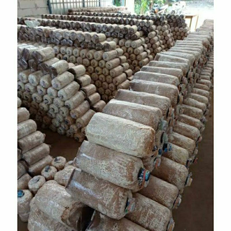 Jual baglog/media tanam jamur tiram asli paket isi 10 | Shopee Indonesia